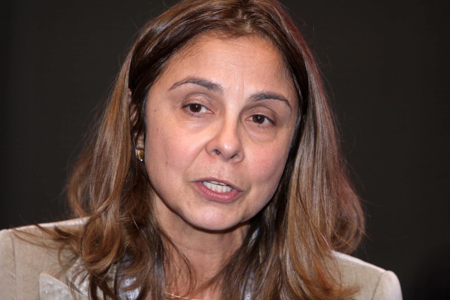 Ana Paula Martins é a nova presidente do Santa Maria | Netfarma