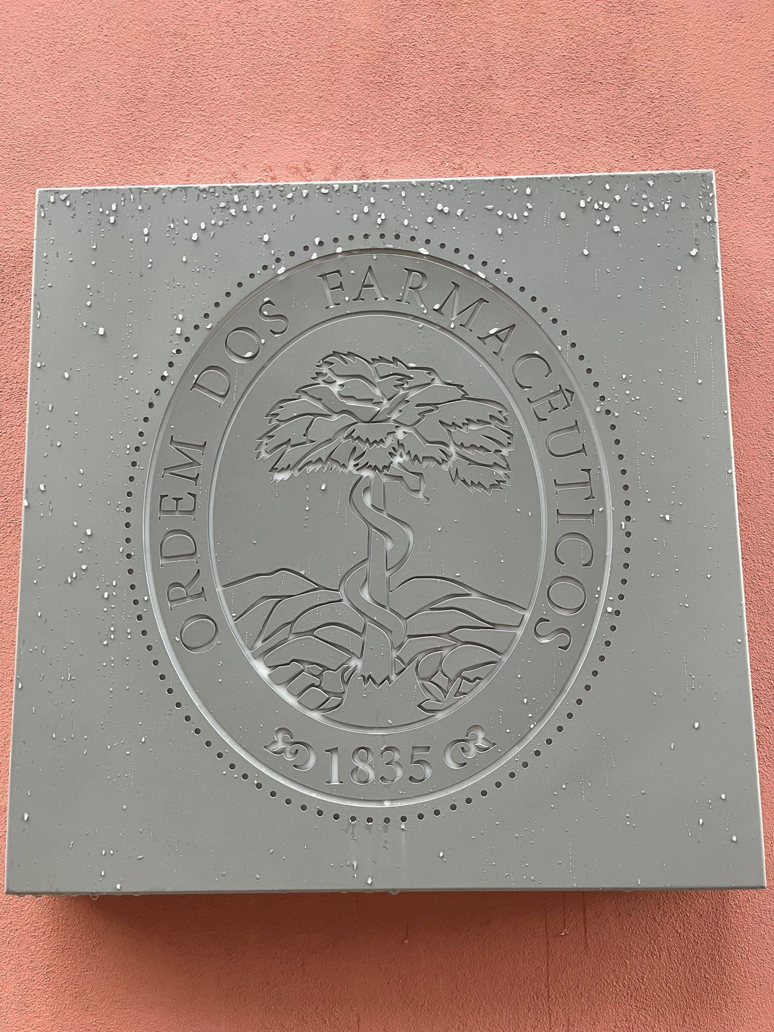 OF firma que automedicação e dificuldades nos cuidados de saúde exigem ...